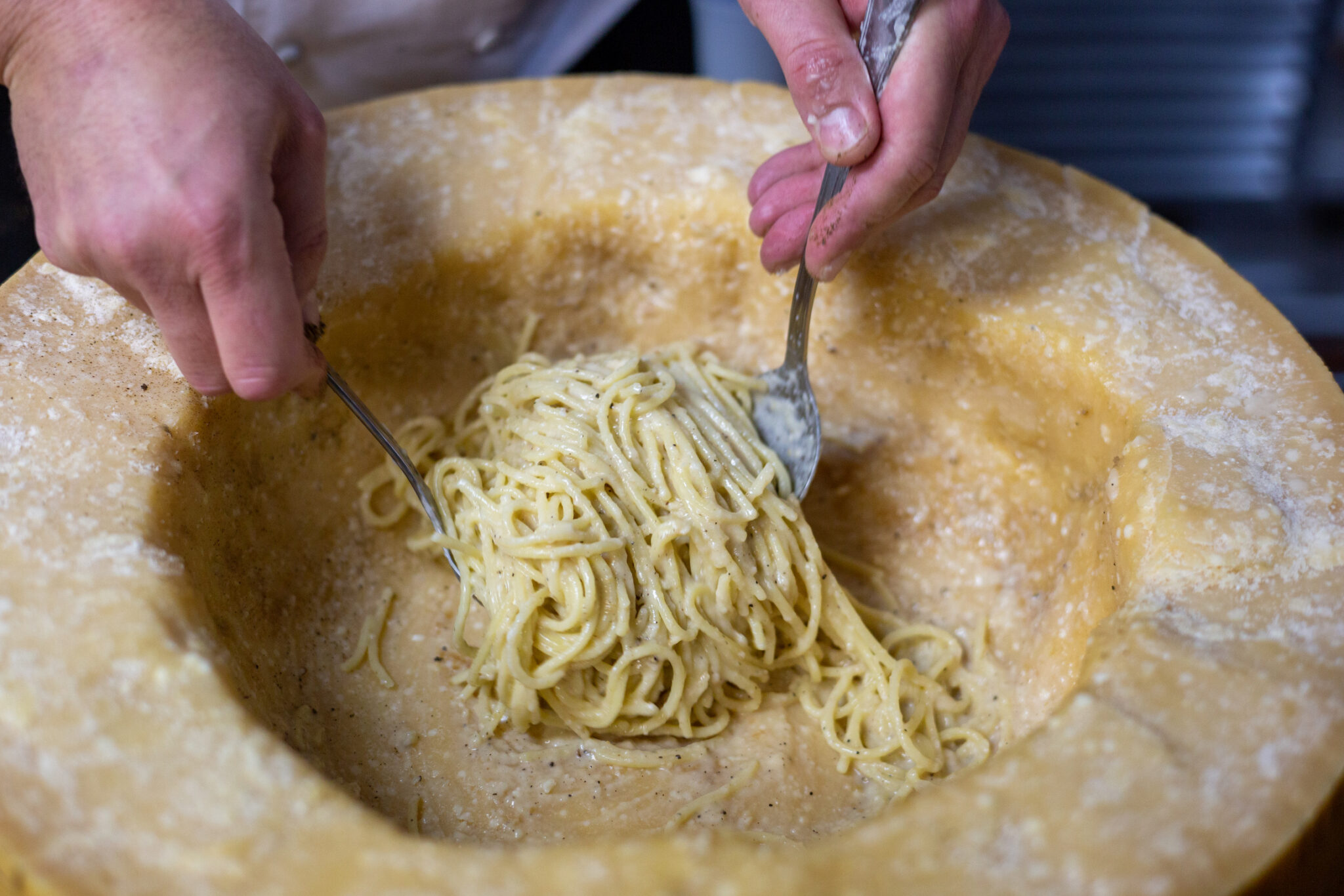 Guest and Membership Information – Villa Taverna