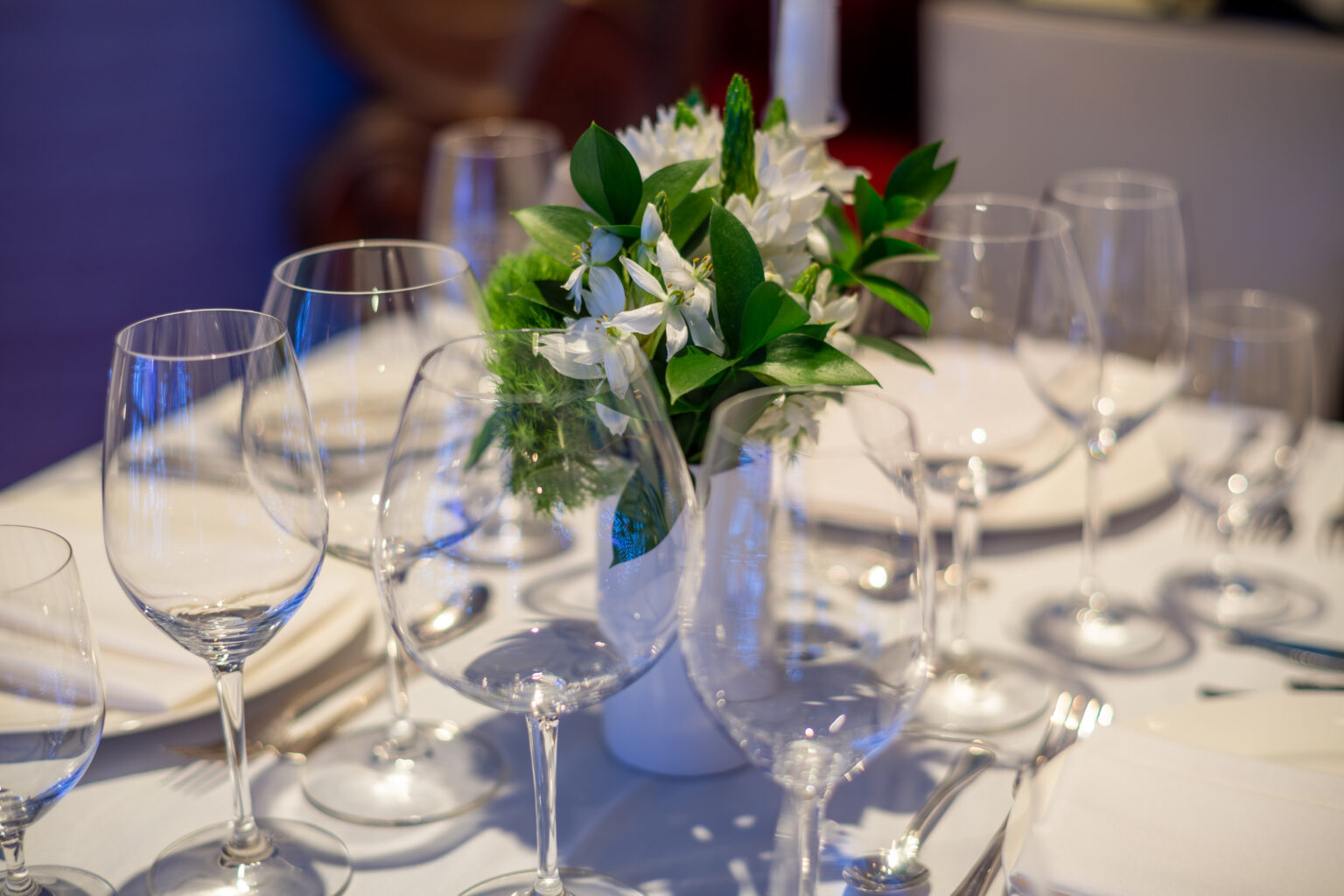 Guest and Membership Information – Villa Taverna